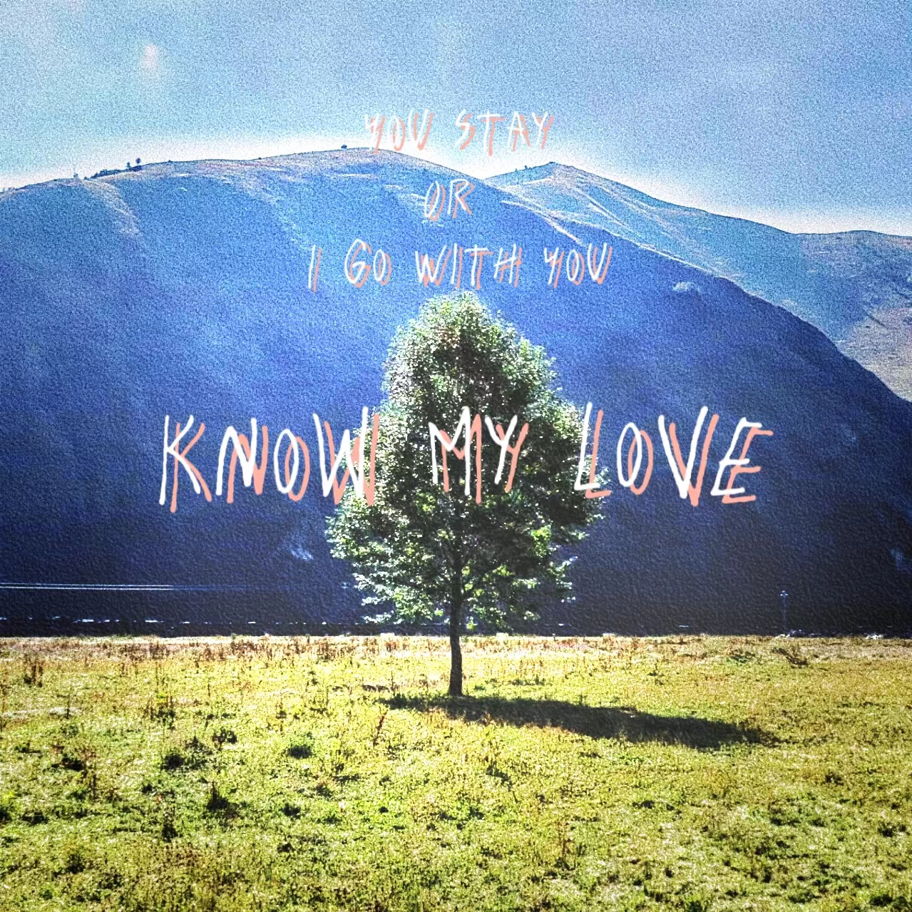 伯乐好马 - VeryApex